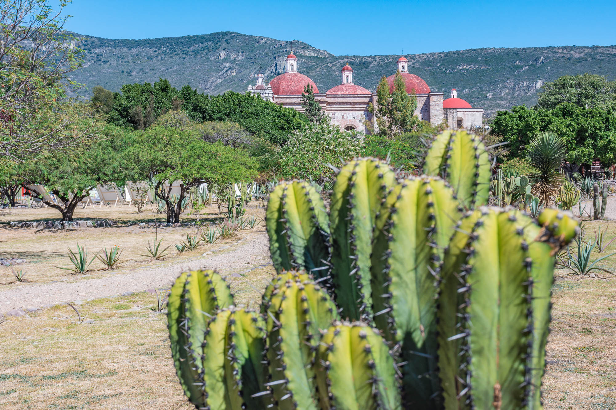 Mitla y La Ruta del Mezcal | Sin Postal