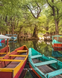 Qué hacer en el Lago de Camécuaro – Guía de Viaje - Sin Postal