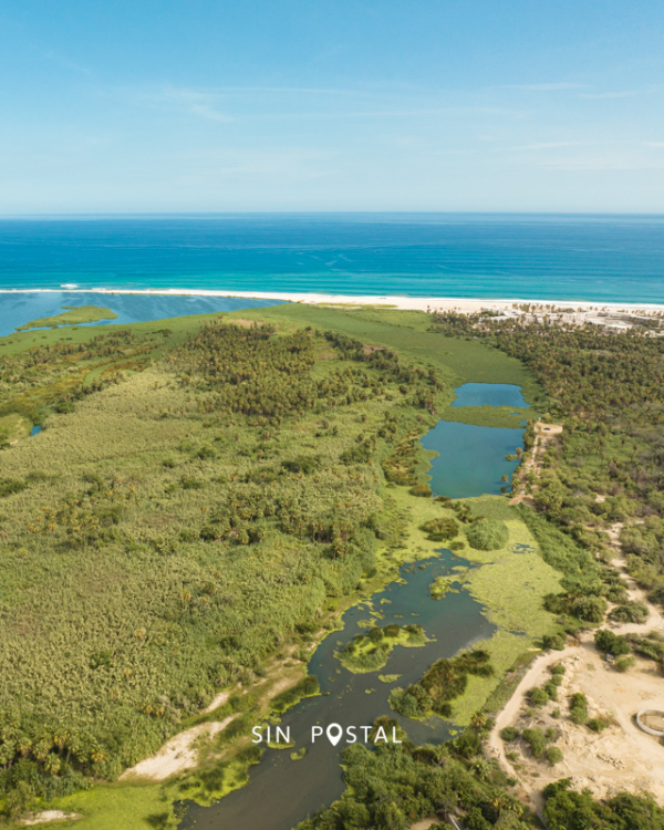 Los Cabos | Sin Postal